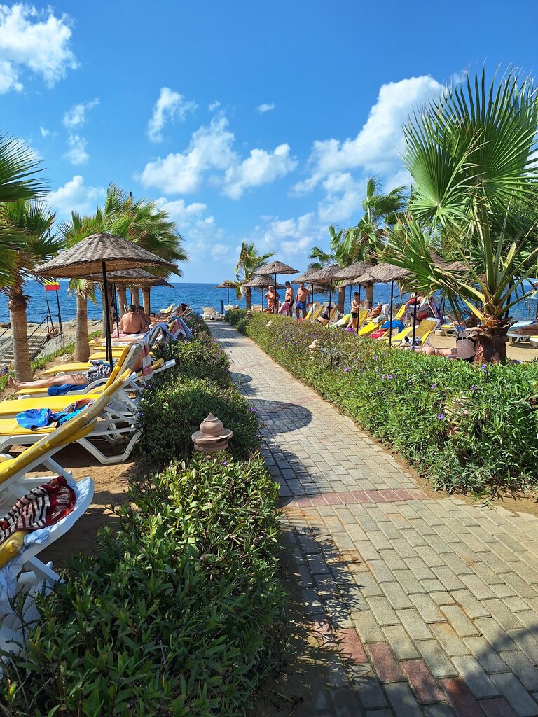 Plaj Avsallar Sahil Koyu, Dünya, foto