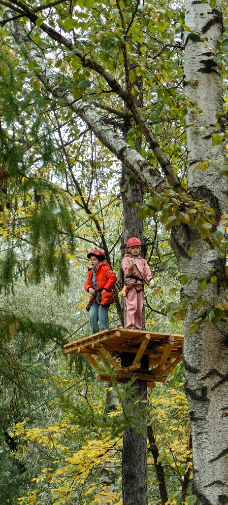 i̇pli oyun park Rope park Tarzaniya Yaroslavl, Yaroslavl, foto