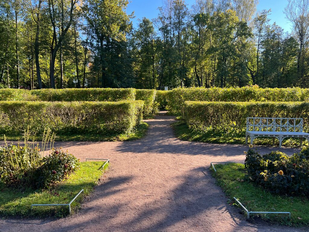 Doğa Зелёный лабиринт, Pavlovsk, foto
