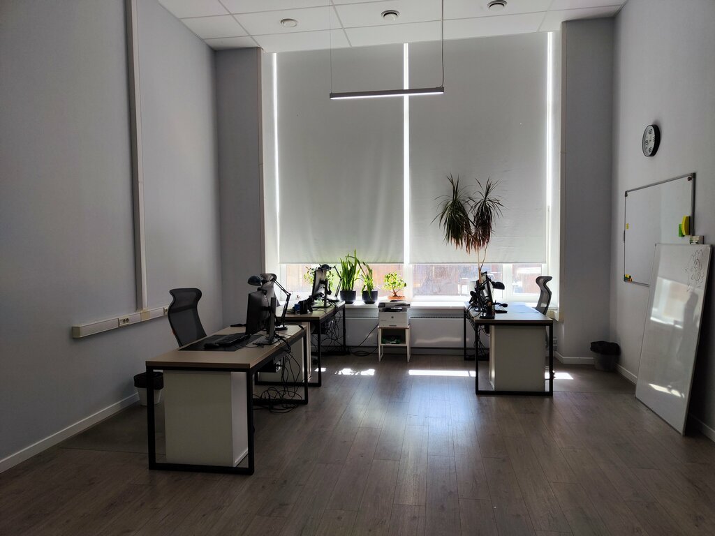 Danışmanlık hizmetleri Schmidt & Schmidt, Moskova, foto