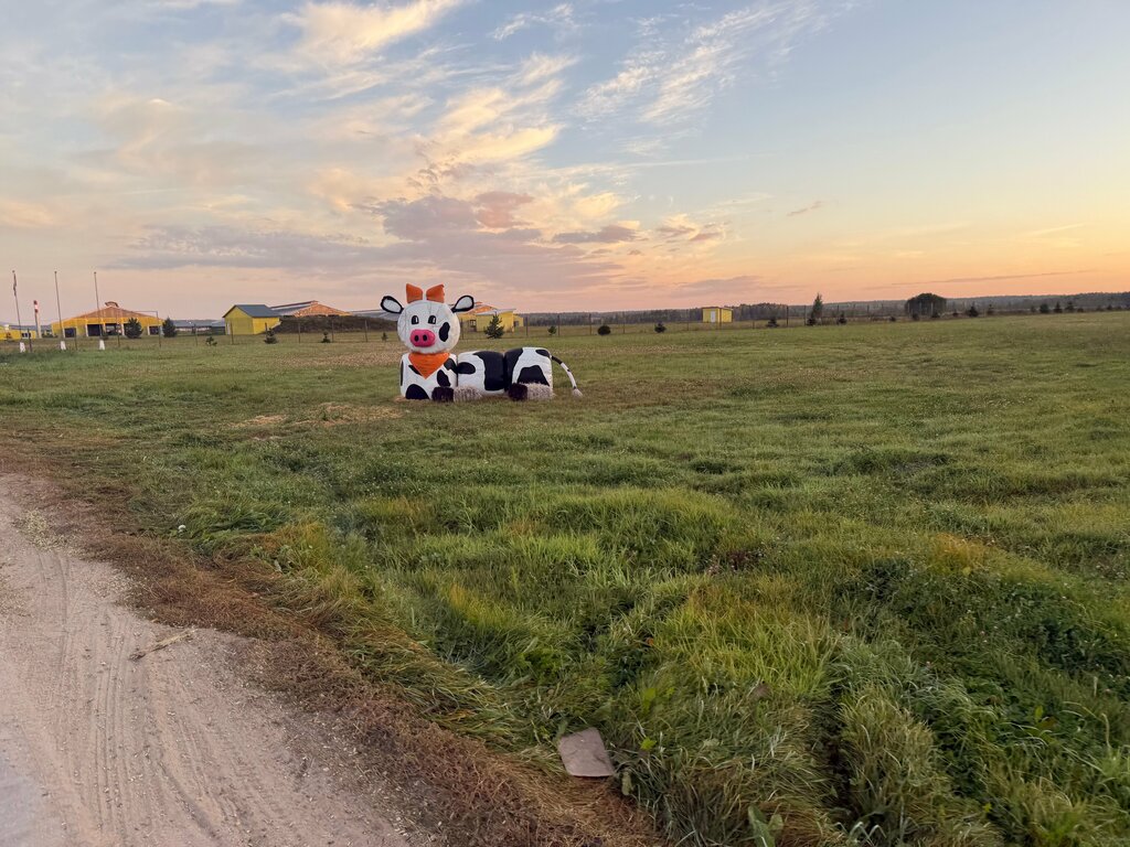 Yönetim ofisi Русский сыр, Kalujskaya oblastı, foto