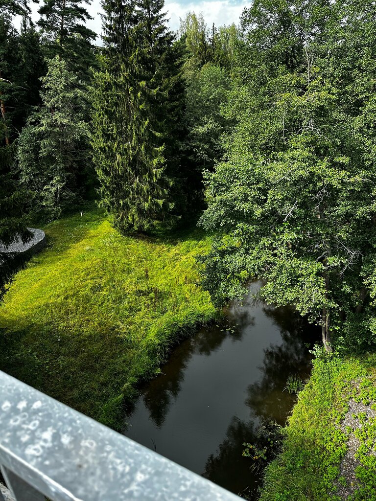 Turistik yerler Мост через реку Аложа, Kalujskaya oblastı, foto