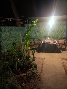 At Maya's (Transfarmatorchilar koʻchasi No:7A), kafe  Çırçık'tan