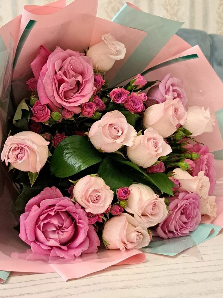 Anaokulları JoyKids, Ürgenç, foto