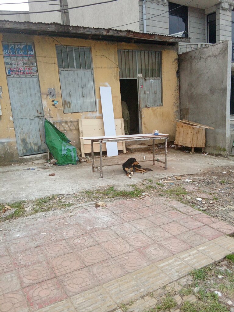 Yapı mağazası Sami Partitions and Gypsum Board, Addis Ababa, foto