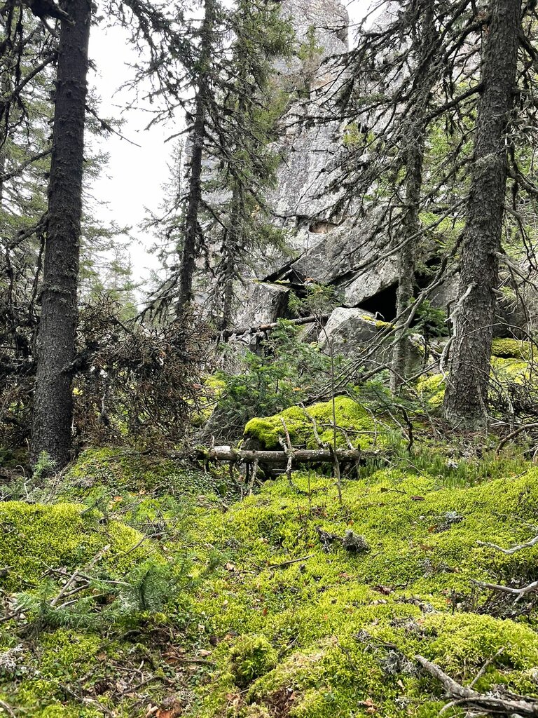 Dağ zirvesi Гора Синяк 1123 метра, Başkurdistan, foto