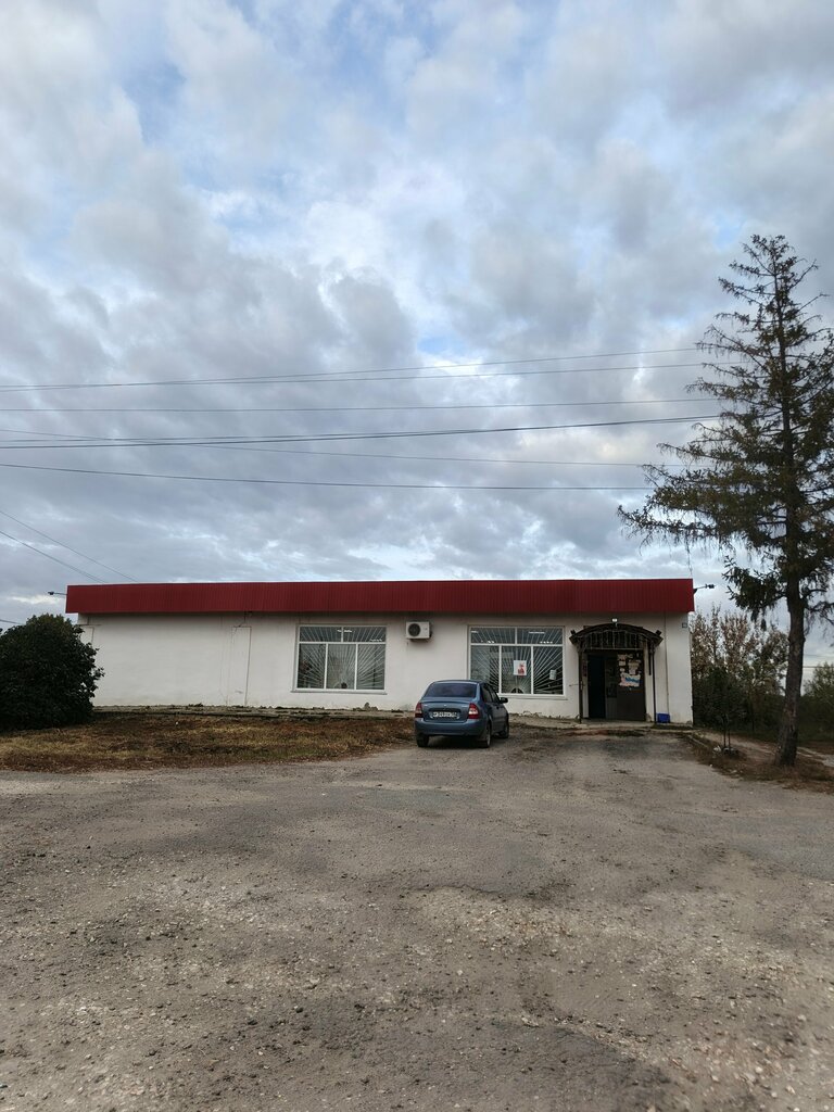 Market Продукты, Penzenskaya oblastı, foto