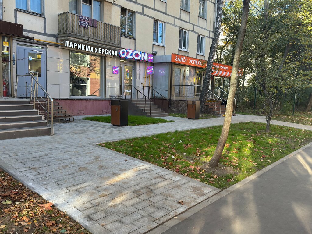 Berberler Mukammal soqol, Moskova, foto