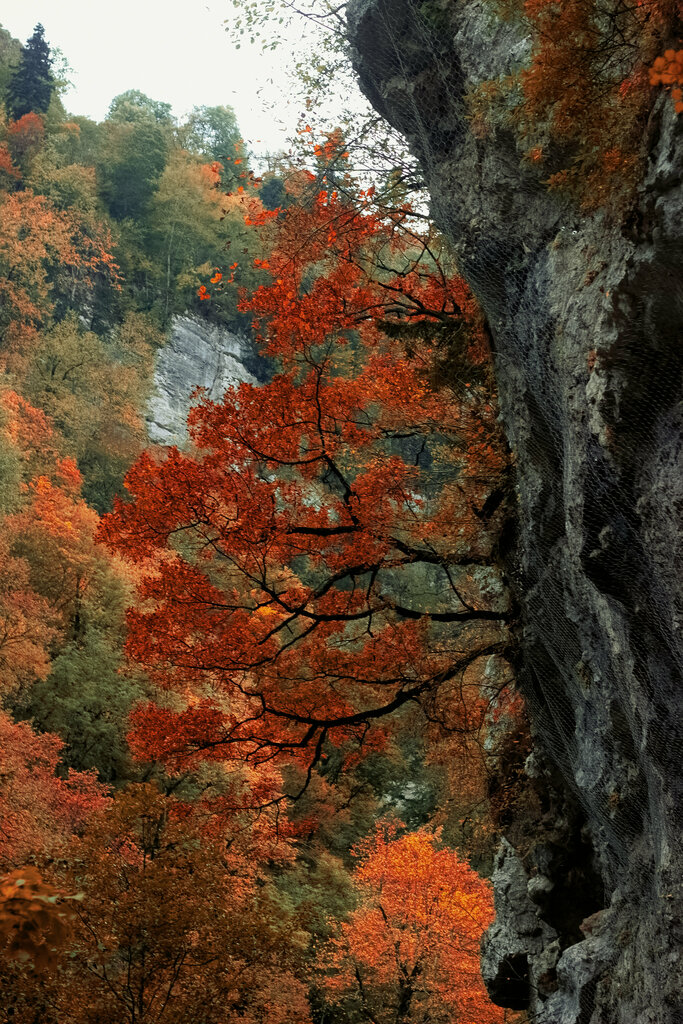 Doğa koruma alanı памятник природы Гуамское ущелье, Krasnodarski krayı, foto