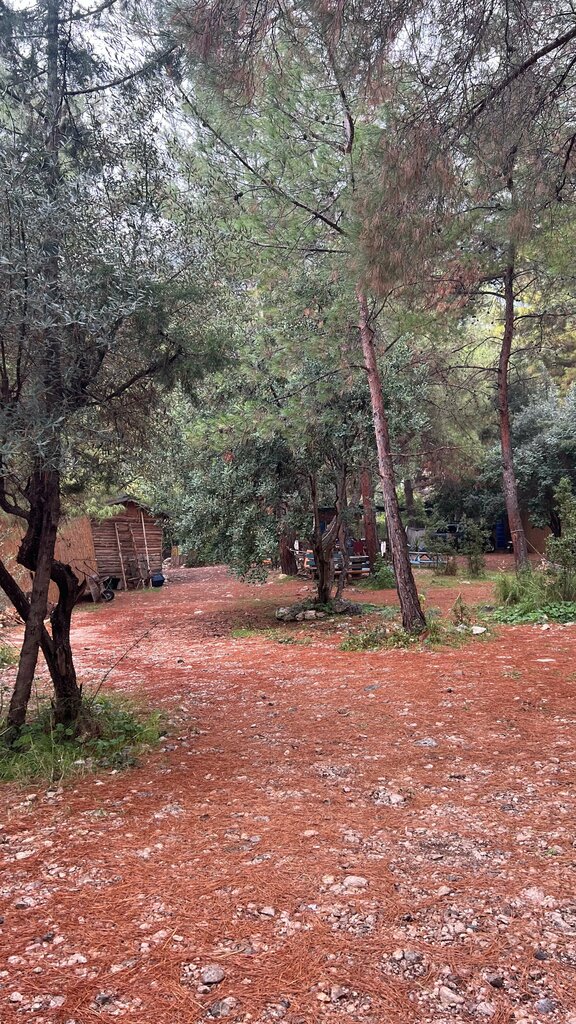 Kamp alanları Saucy Bites Camping & Restorant, Fethiye, foto