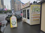 Белая ромашка (Georgiya Dimitrova Street No:95Б), çiçekçiler  Samara'dan