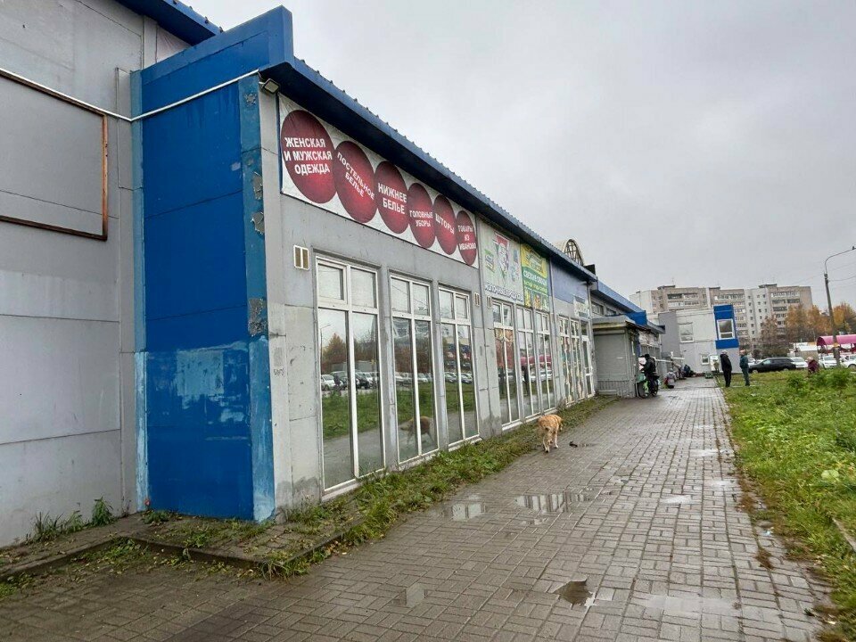 Kasap, şarküteri Свежее охлажденное мясо, Vologda, foto