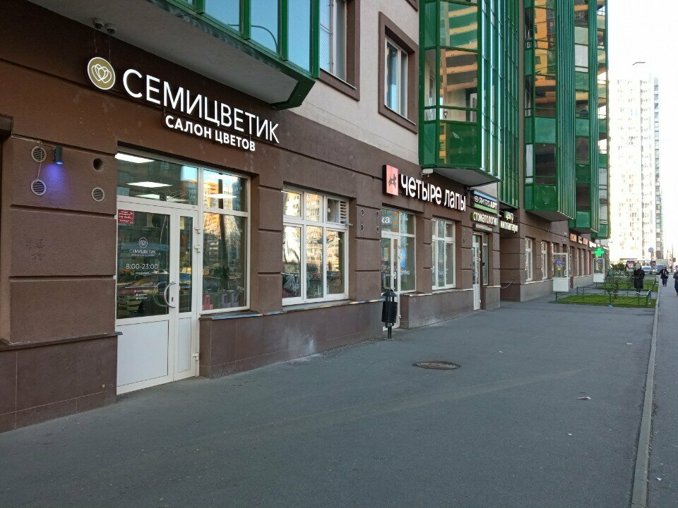 Çiçekçiler Семицветик, Murino, foto