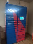 Ozon (Pervomayskaya Street No:106), parsel otomatı  Moskova'dan