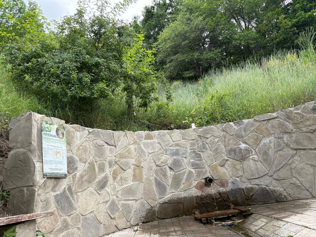 Pınar, çay Spring, stream, Saratov, foto