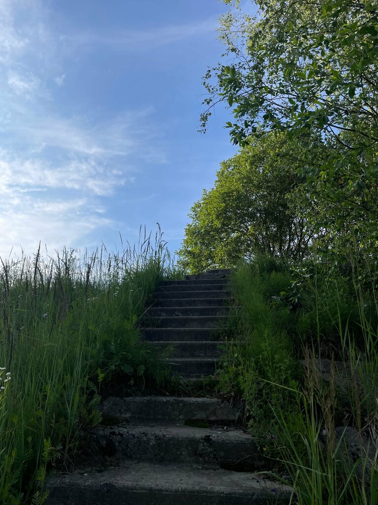 Plaj Пляж, Moskova ve Moskovskaya oblastı, foto