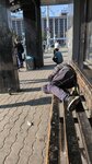 Железнодорожный вокзал (Sverdlovsk Region, Yekaterinburg, Vokzalniy Urban Housing District), toplu taşıma durağı  Yekaterinburg'dan