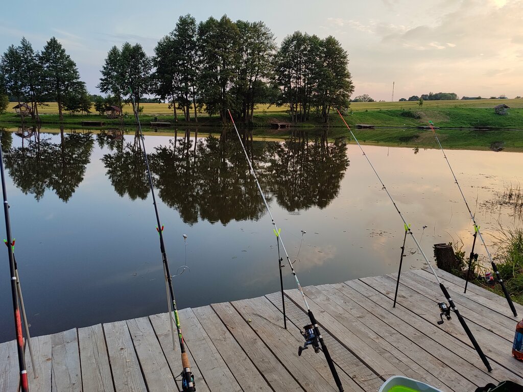 Balık çiftçiliği ve toptancıları Кемпинг Вертники, Minskaya oblastı, foto
