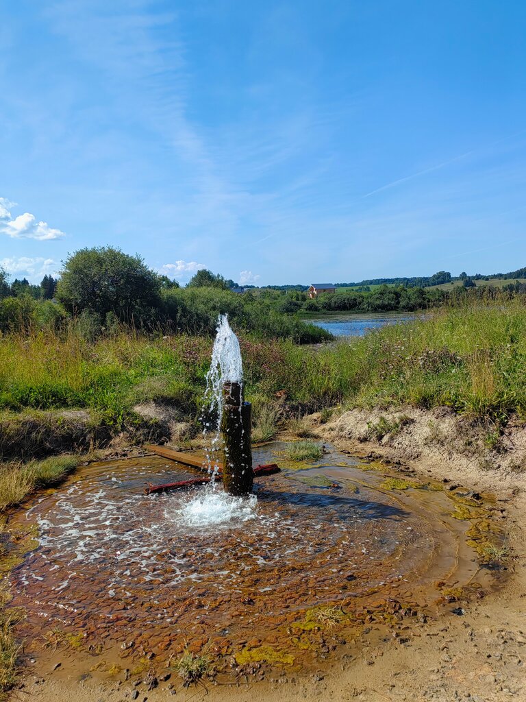 Pınar, çay Spring, stream, Vologodskaya oblastı, foto