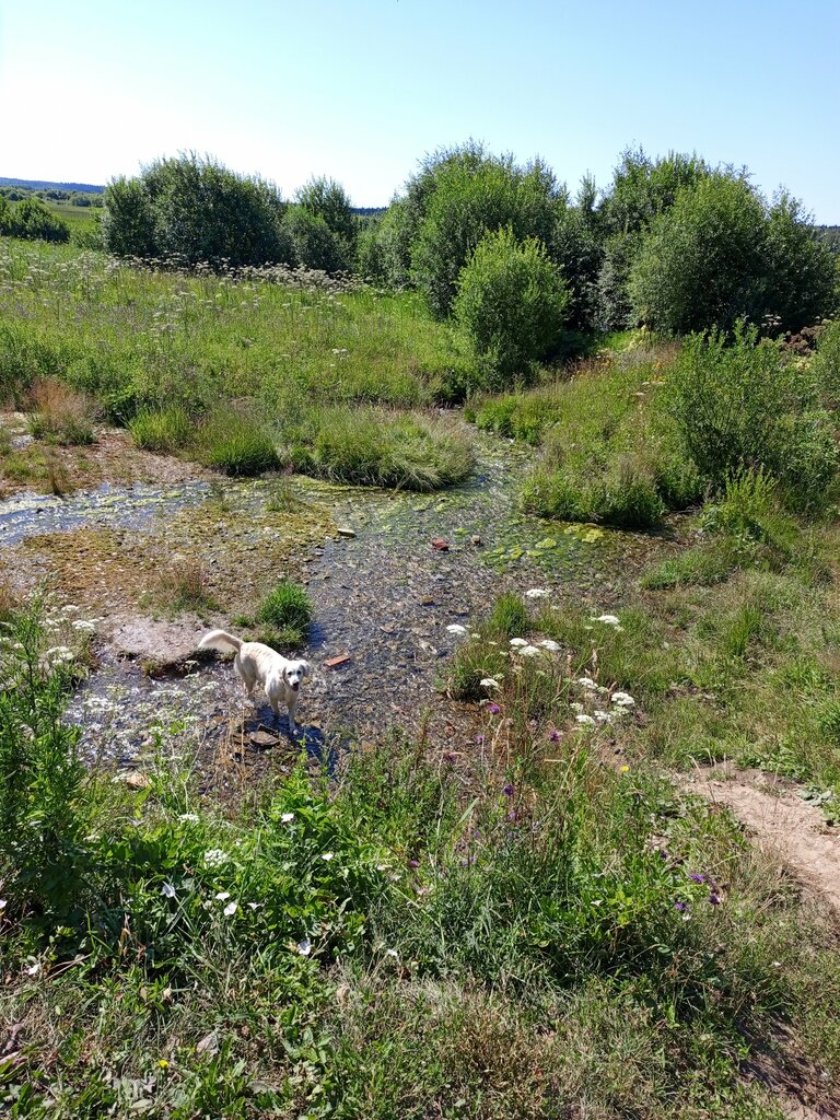Pınar, çay Spring, stream, Berezniki, foto