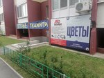 Матрикария (Sudoremontnaya ulitsa No:28, mikrorayon Mys), çiçek teslimatı  Tiumen'den