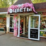 Tsvety (Moskovskaya Street No:24с2), çiçekçiler  Himki'den