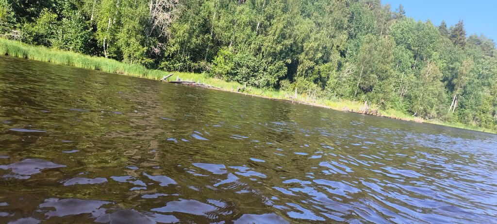 Turistik yerler Кладбище затонувших кораблей, Karelya, foto