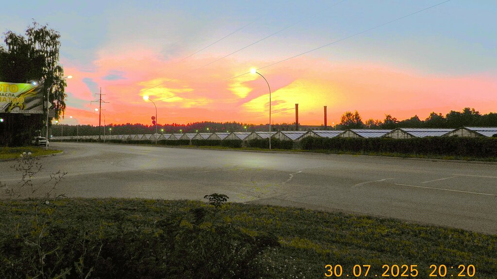 Seracılık Тепличное хозяйство, Zarechny, foto
