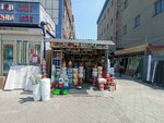 Paint and Varnish Materials Store (Dyuishonkul Shopokov Street No:89/1), boya ve cila malzemeleri üretim ve satış yerleri  Bişkek'ten
