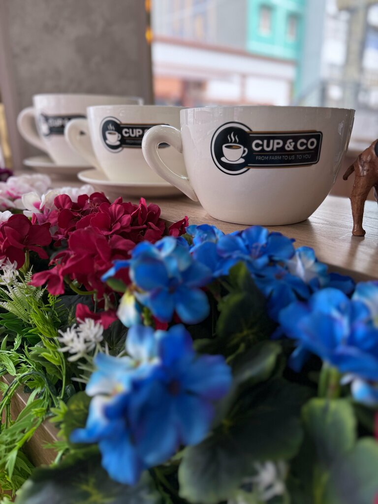 Kahve dükkanları Cup&Co, Nemengan, foto