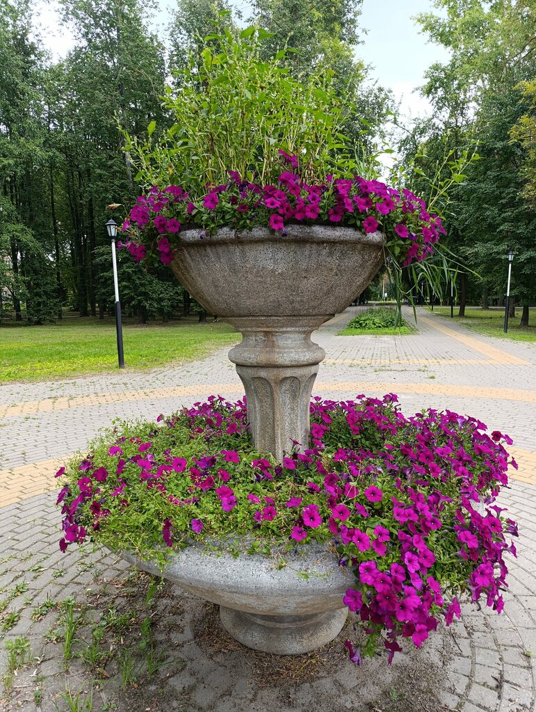 Meydan Сквер имени В. И. Кирюхина, Kaluga, foto