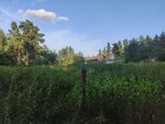 Патамяки – бывший дом кантора Саккола (Lesnoy pereulok No:1, posyolok Gromovo), müzeler ve sanat galerileri  Saint‑Petersburg ve Leningradskaya oblastından