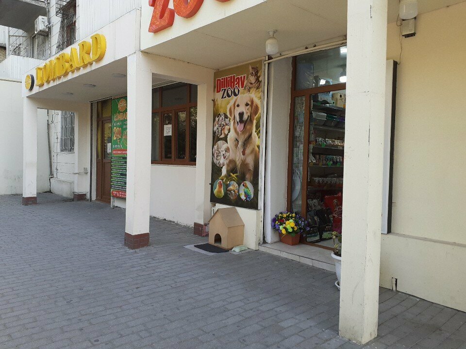 Petshop Dili Hav, Bakü, foto