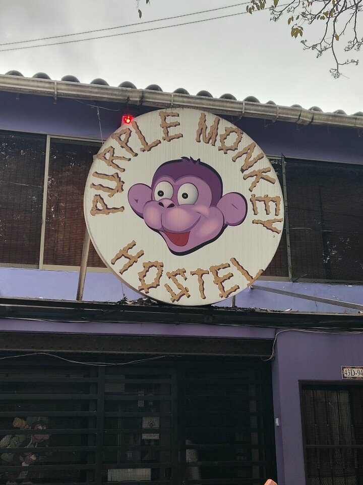 Pansiyonlar, hosteller Purple monkey hostel, Medellin, foto