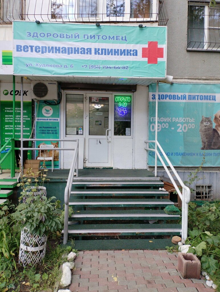 Veteriner klinikleri Zdoroviy Pitomec, Çeliabinsk, foto