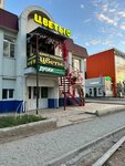 MiniFlowers (Kulikova Street No:34А), çiçekçiler  Astrahan'dan