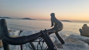 Pendik Sahili (İstanbul, Pendik, Sahil Blv.), parklar ve ormanlar  İstanbul'dan