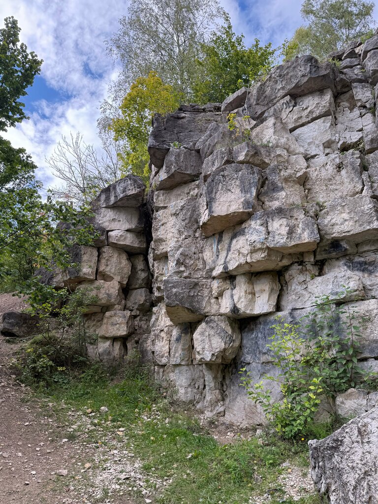 Turistik yerler Скальные обнажения известняков в долине реки Осётр, Tulskaya oblastı, foto