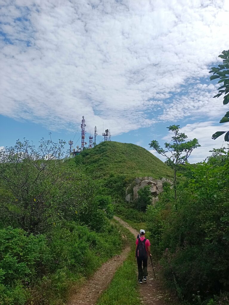 Dağ zirvesi Гора Русских 291 метр, Primoriye, foto