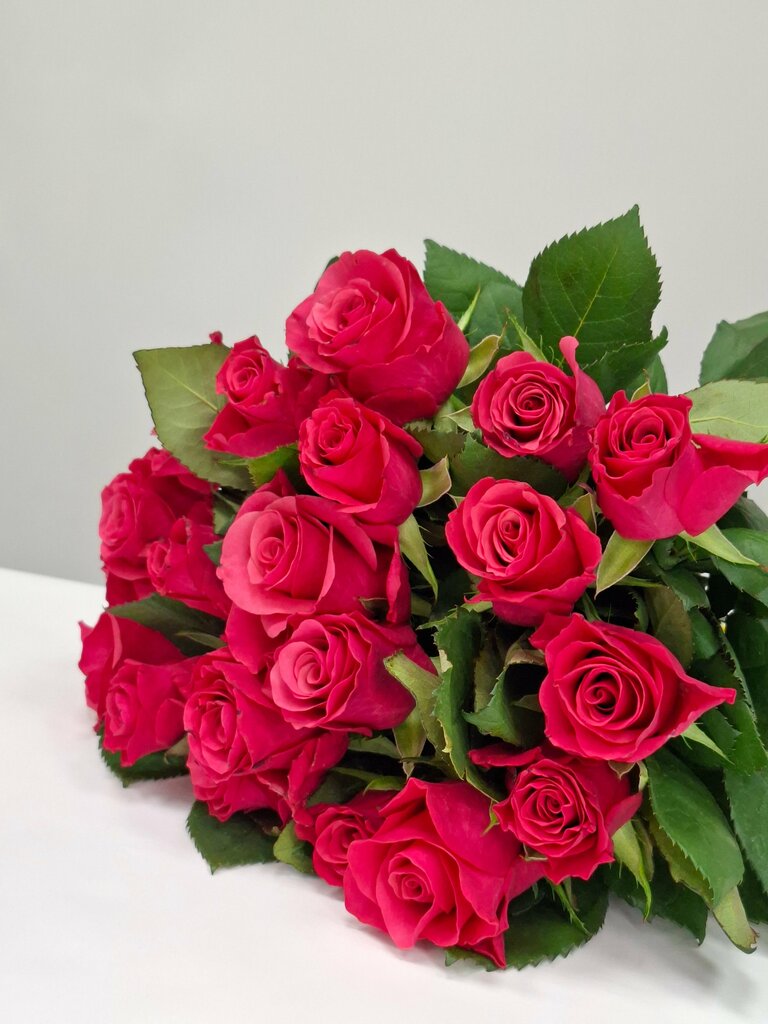 Çiçekçiler Meadow'flow, Domodedovo, foto