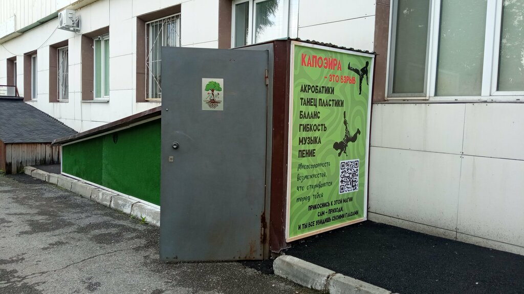 Dans okulları Capoeira Dvizh, Krasnoyarsk, foto