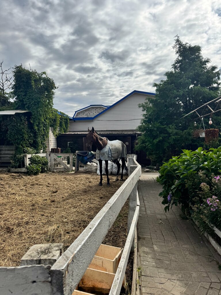 At ve binicilik kulüpleri Лошадиный рай, Mozyr, foto