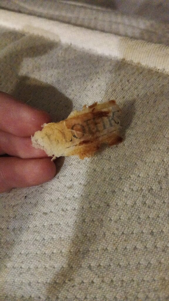 Ekmek fırını Бабынинский хлеб, Kaluga, foto