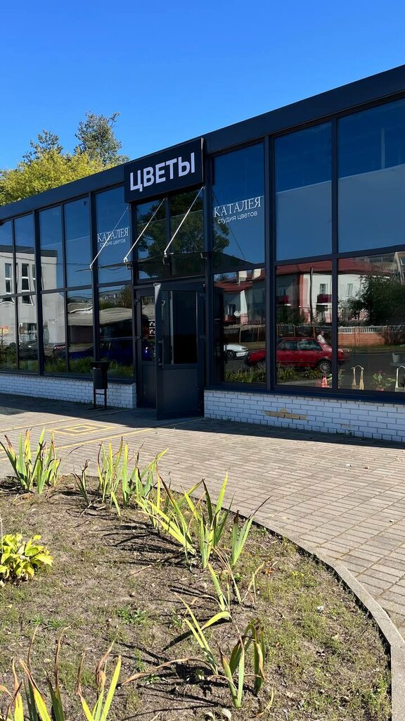 Çiçekçiler Katalea, Dobruş, foto