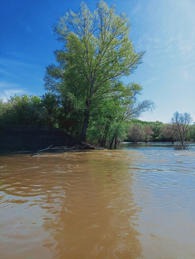 Doğa Стрелка рек Урала и Сакмары, Orenburg, foto