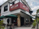 Apolo (Valle del Cauca, Municipio de Santiago de Cali, Comuna 2, El Bosque, Avenida 6A, 24N-26), kafe  Cali'den