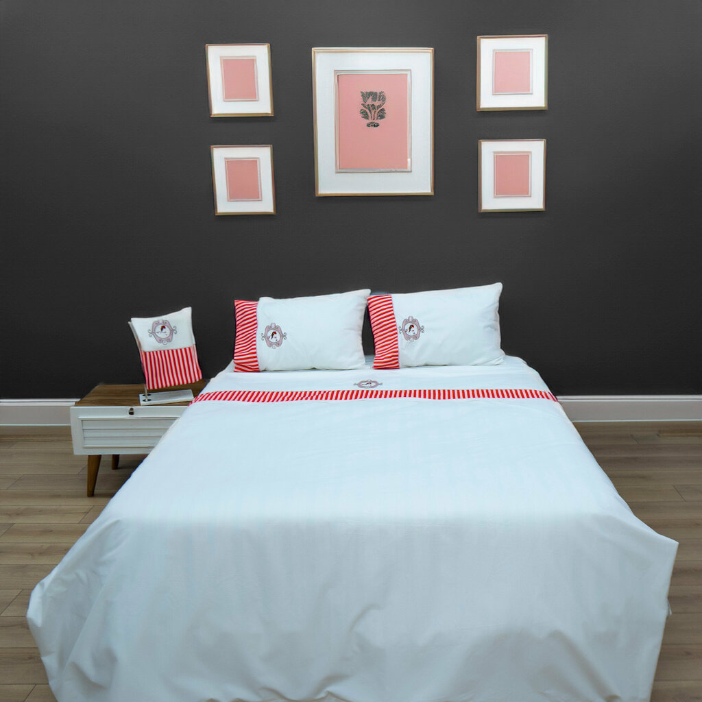 Temizlik ürünleri Apak Home Textile, Bursa, foto