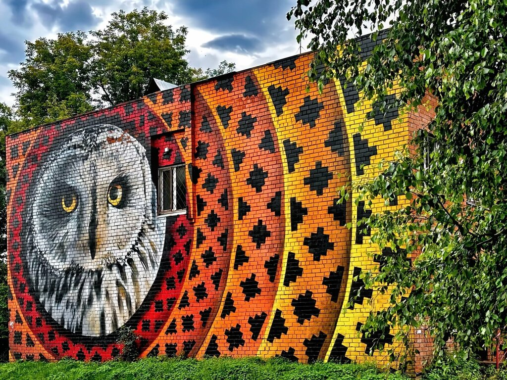 Sokak sanatı Арт-объект Филин, Orehovo‑Zuyevo, foto