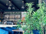 Amigos Cafe (550, Sheikh Mohammed Bin Salem Road), kafe  Birleşik Arap Emirlikleri'nden