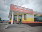 Цветы и товары для флористики (ulitsa 70 let Oktyabrya No:27), çiçekçiler  Omsk'tan